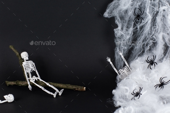 White skeletons on a black background. Skeleton and natural materials ...