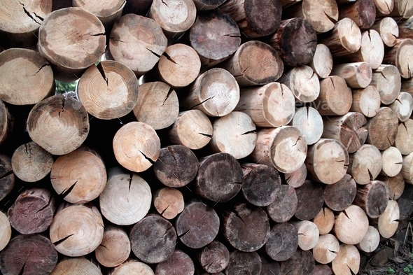 Dry logs, neatly stacked on top of each other. Stock Photo by AksiPo