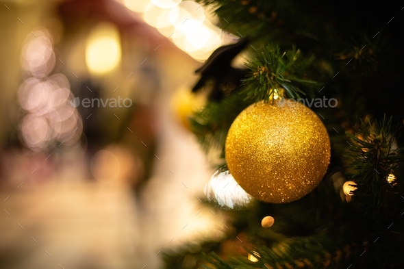 Golden ball as decoration hanging on the branches of a Christmas tree ...