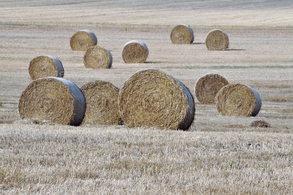 straw rolls Stock Photo by irenanna_sowinska | PhotoDune