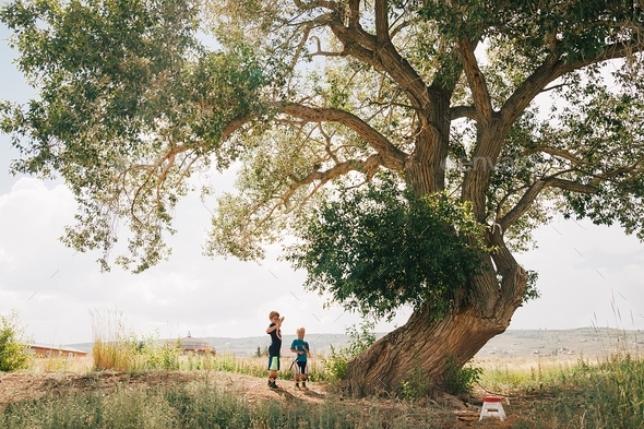 two boys playing under a large tree Stock Photo by starlingphotos ...
