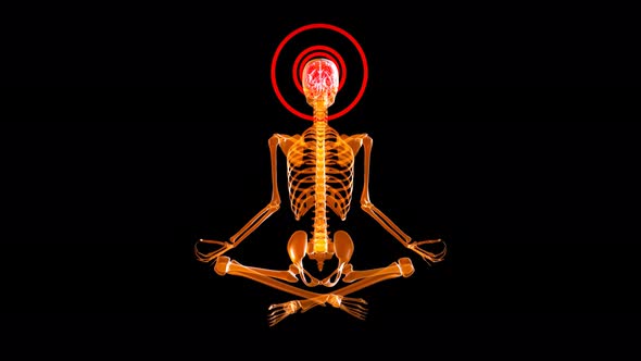 3D Creative abstract zen skeleton, Motion Graphics | VideoHive