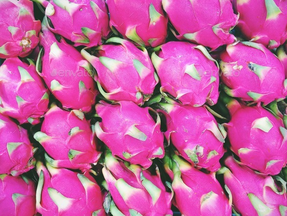 Pink fruit background Stock Photo by kaakamakaaka | PhotoDune