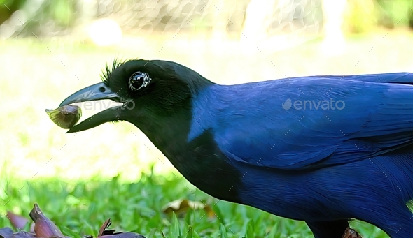 Blue Jaw and Pinion Stock Photo by msandrioli | PhotoDune