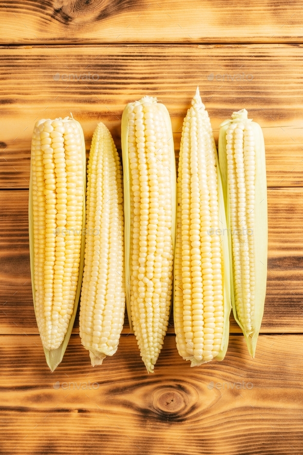 Five yellow milk sweet corn cobs ears maize with white granule green ...