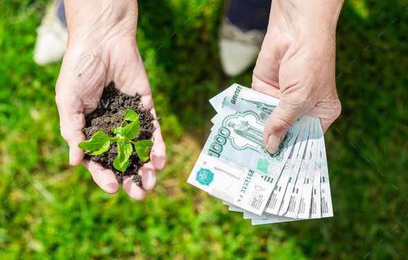 Money and nature Stock Photo by George_Mineev | PhotoDune