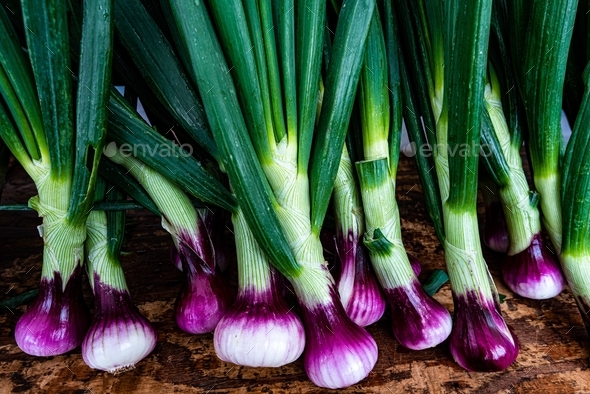 purple and white freshly harvest sweet spring onions with green stems ...