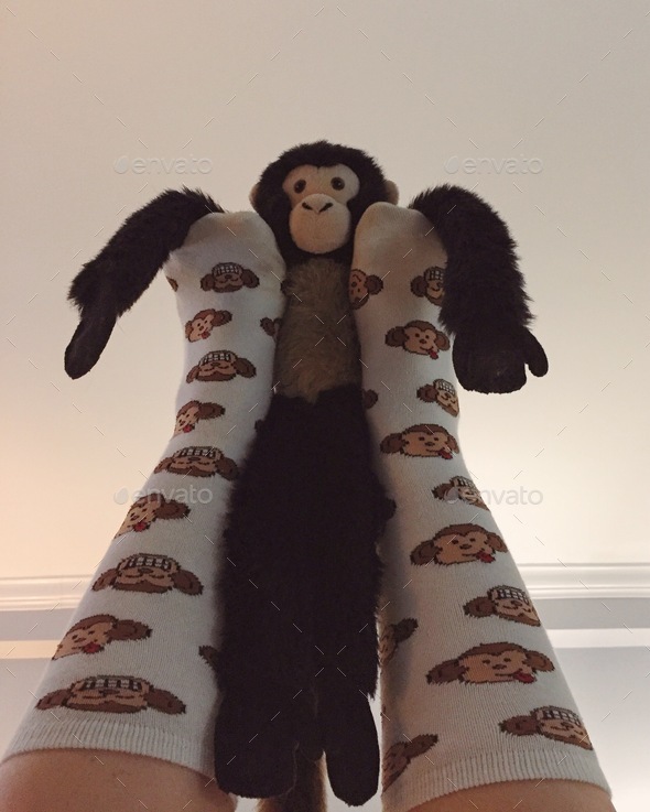 Monkey socks and toy monkey Stock Photo by mar78me | PhotoDune