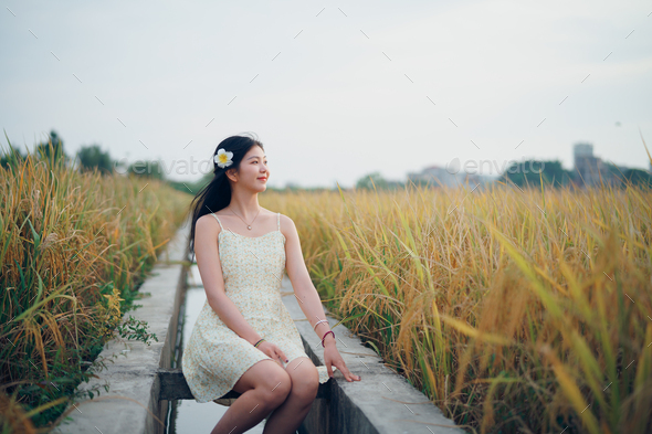 girl walking on rice fields Stock Photo by liufuyu | PhotoDune