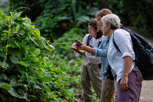 Young backpack hiking botany study woman walking in the forest and pay ...