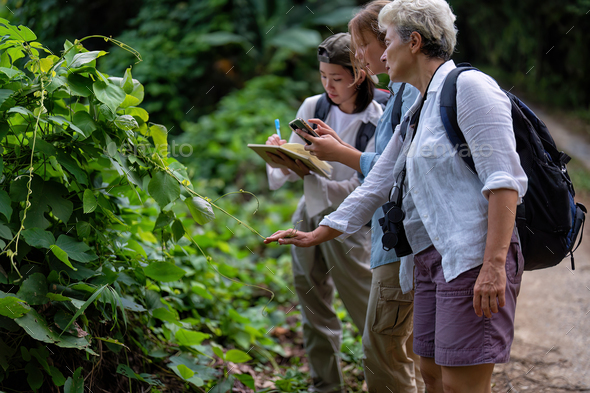 Young backpack hiking botany study woman walking in the forest and pay ...