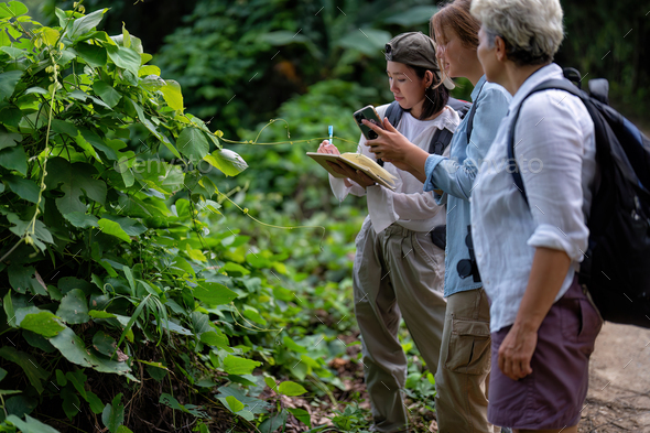 Young backpack hiking botany study woman walking in the forest and pay ...