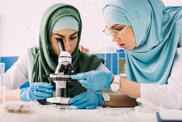 focused female muslim scientists in hijab using microscope during ...