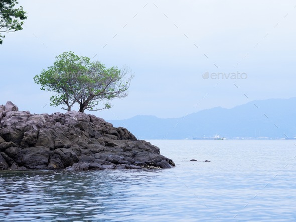 Rock Island in the sea at lampung beach indonesia Stock Photo by ...
