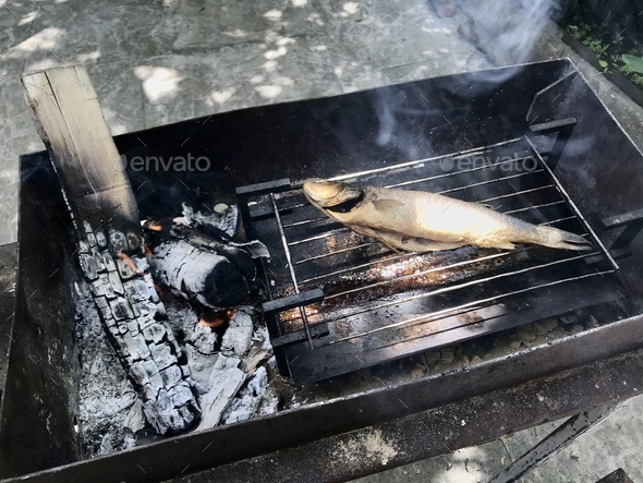 Smoked fish on mangal (barbecue). Stock Photo by D_Yarko | PhotoDune