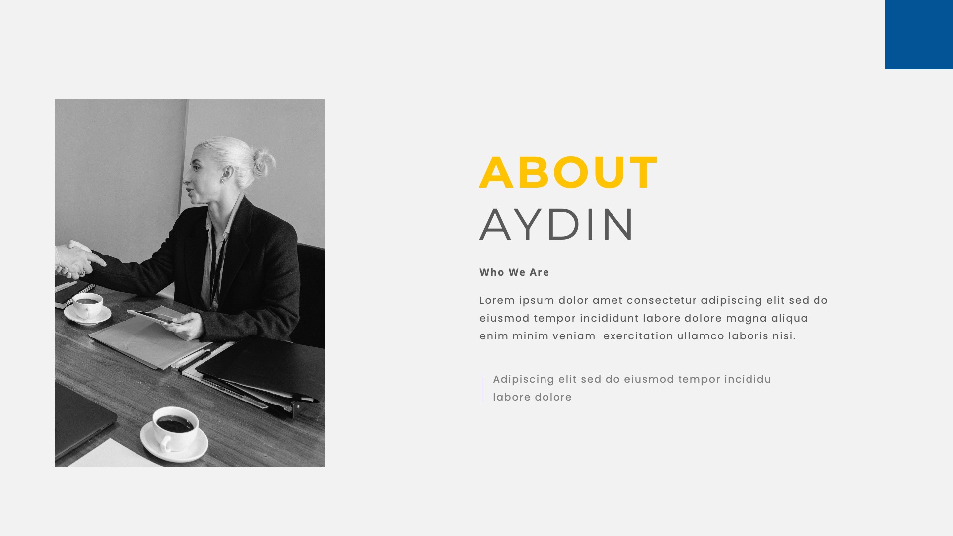 Aydin Powerpoint Pitch Deck Presentation Template, Presentation Templates