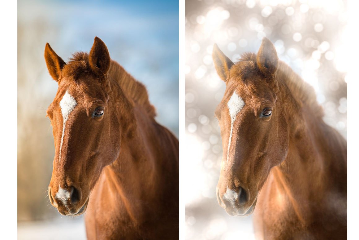 Photography Boken Maker, Add-ons | GraphicRiver