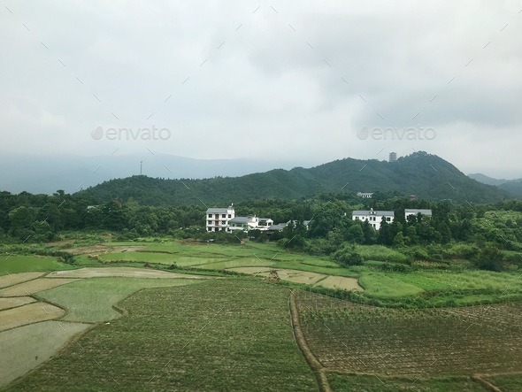 exotic landscape. Chinese landscape. farming. garden. green. rice ...