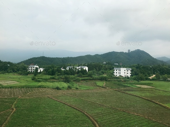 exotic landscape. Chinese landscape. farming. garden. green. rice ...
