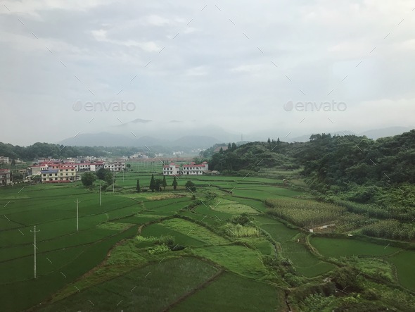 exotic landscape. Chinese landscape. farming. garden. green. rice ...