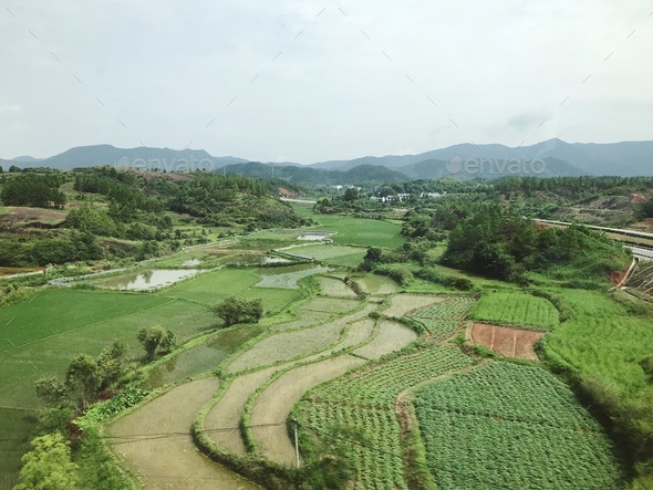 exotic landscape. Chinese landscape. farming. garden. green. rice ...
