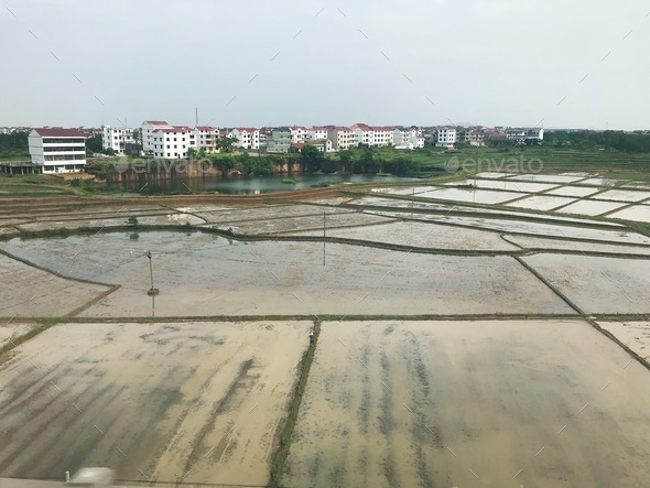 exotic landscape. Chinese landscape. farming. garden. rice fields Stock ...