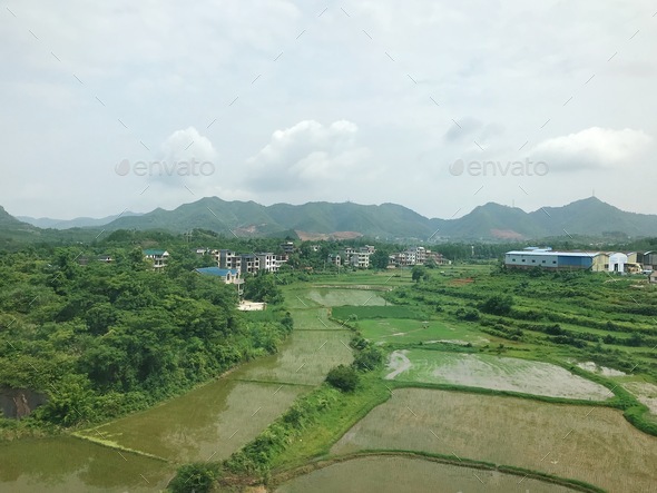 exotic landscape. Chinese landscape. farming. garden. green. rice ...