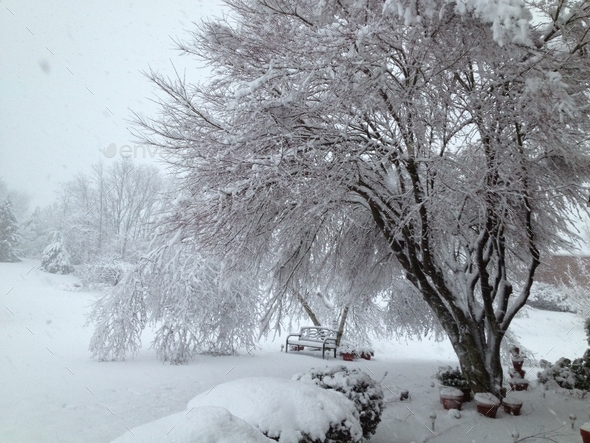 Beautiful winter wonderland Stock Photo by jdskiles1 | PhotoDune