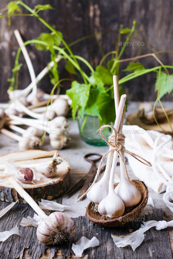 Still life with garlic Stock Photo by Aleruana | PhotoDune