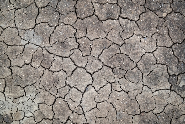 soil spring sprout summer sun surface tree warming young Stock Photo by ...