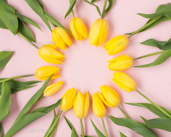 Circle made of flowers in close-up Stock Photo by kegfire | PhotoDune