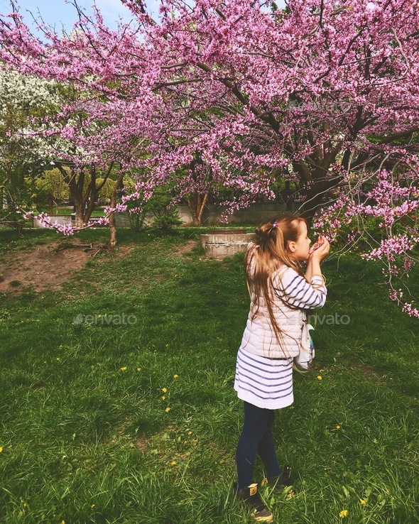 Little girl smelling the blossoming pink tree Stock Photo by nikoletta21