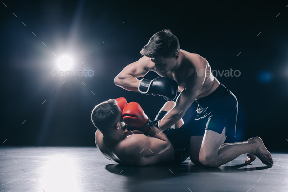 shirtless strong mma fighter in boxing gloves standing on knees above ...