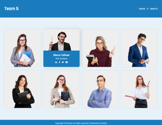 Temezo - HTML and CSS Responsive Team Card by codexperttheme | CodeCanyon