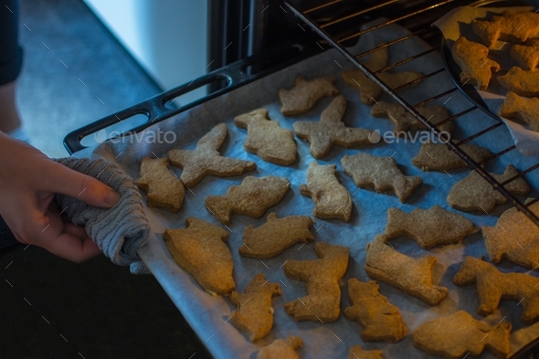 Freshly baked animal cookies from the oven at home snack food fun ...