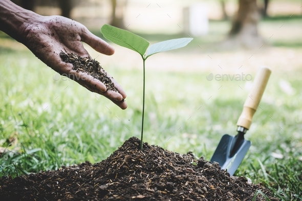 Planting a tree Stock Photo by Ngampol7380 | PhotoDune