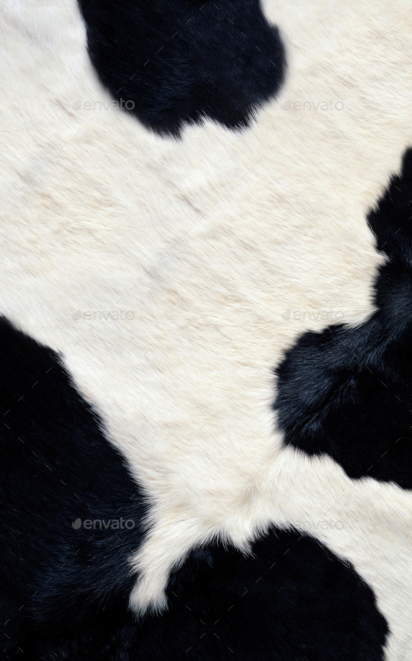 Cow skin texture Stock Photo by ozaiachin | PhotoDune