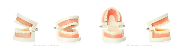 Set of jaws, isolated on white background Stock Photo by AtlasComposer