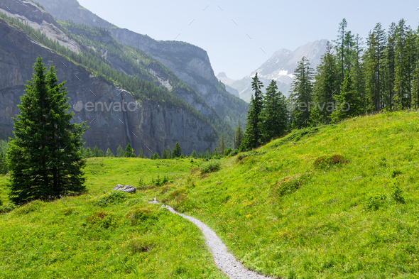 Panoramic view of green alpine meadows and mountains Stock Photo by ...