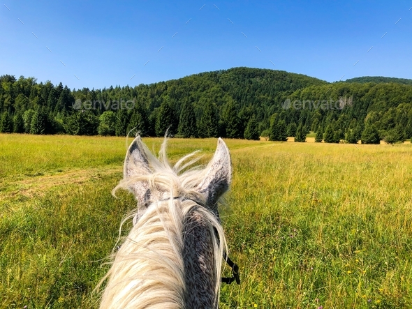 Horse riding,field and mountains Stock Photo by ivanat94 | PhotoDune