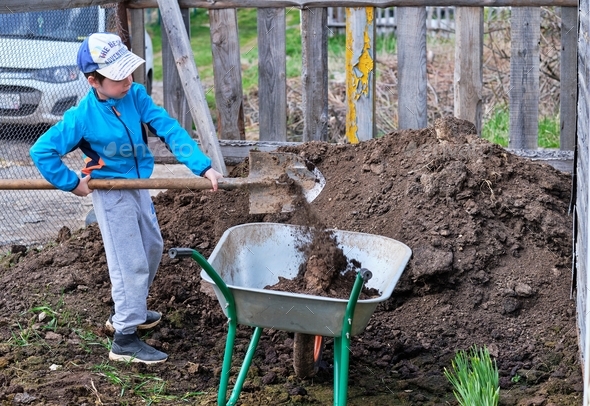boy works in the vegetable garden. The boy is digging the ground. Child ...