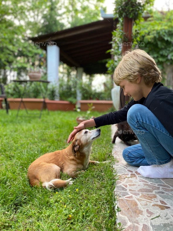 9 years old blonde boy petting small ginger dog sitting on a backyard ...