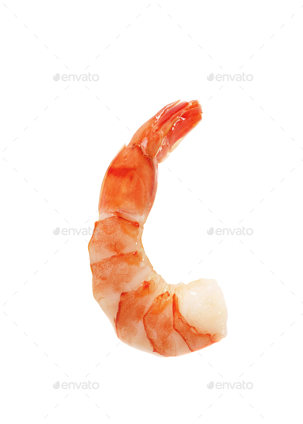 Closeup view of shrimp isolated Stock Photo by ozaiachin | PhotoDune