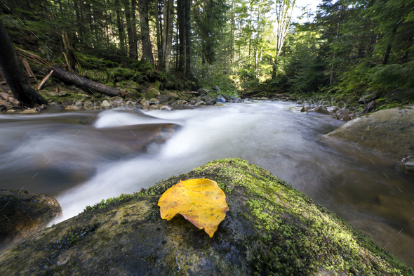 Small river with crystal clear smooth silky water flowing through wild ...