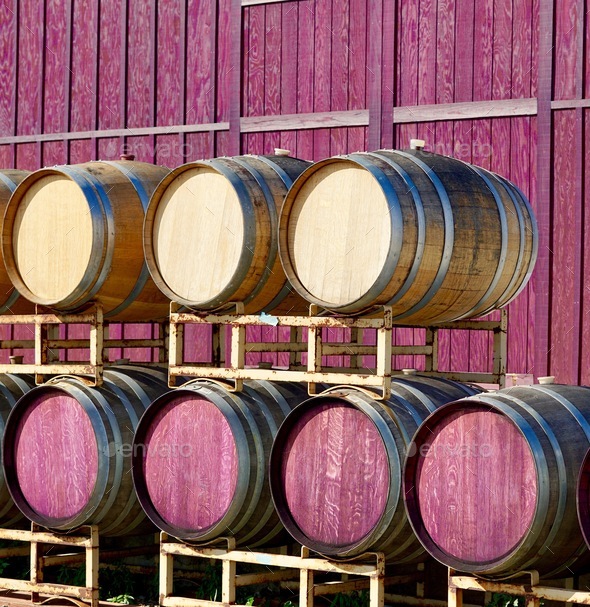 Purple and tan wine barrels in front of a purple barn Stock Photo by ...