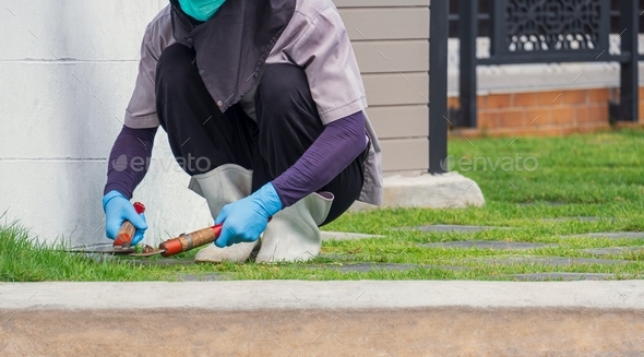 Cropped Image Of Worker Is Trimming Grass On Walkway In Front Yard Area Of Office Building Stock