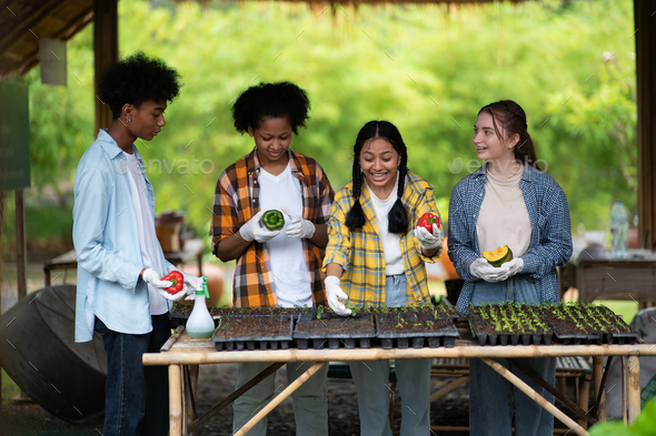 Children have fun learning plant fruit vegetable tree indoor ...