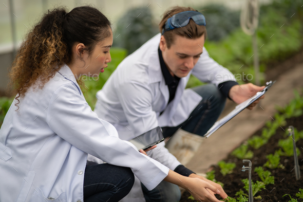 Fruit researcher quality control check list growing fruit vegetable ...