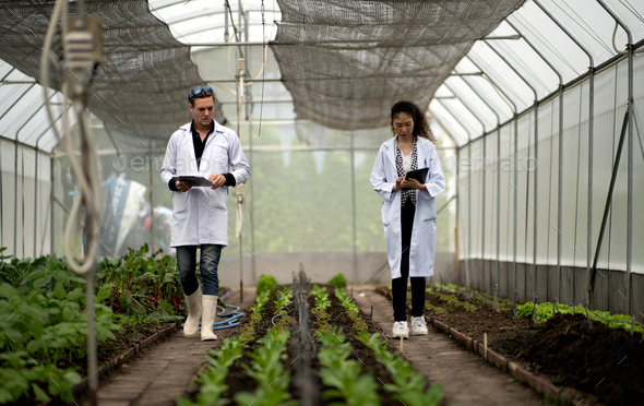 Fruit researcher quality control check list growing fruit vegetable ...