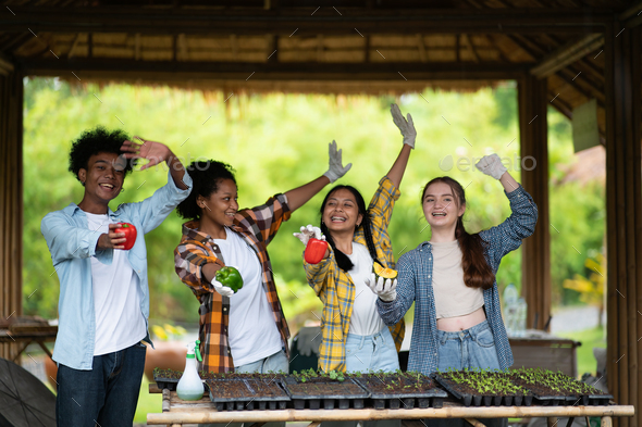 Children have fun learning plant fruit vegetable tree indoor ...
